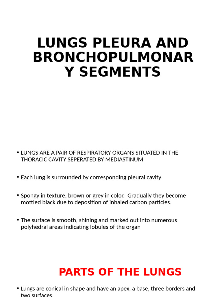 Lungs Anatomy | PDF