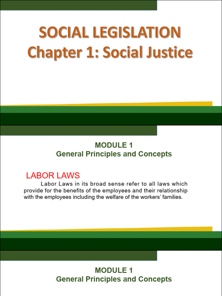 MODULE 1 Social Justice | PDF