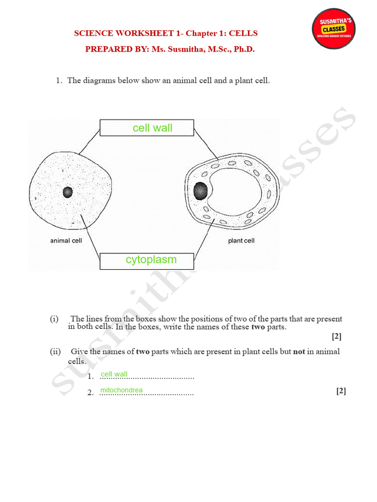 SCIENCE WORKSHEET Cells | PDF