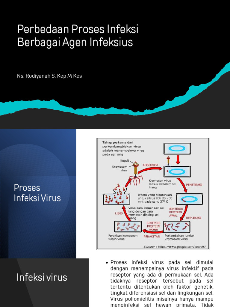 Perbedaan Proses Infeksi | PDF