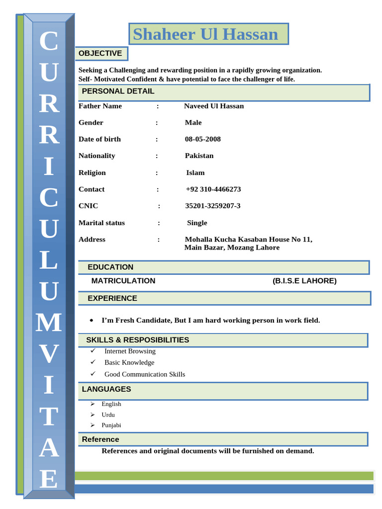 CV For Customer Sufian | PDF