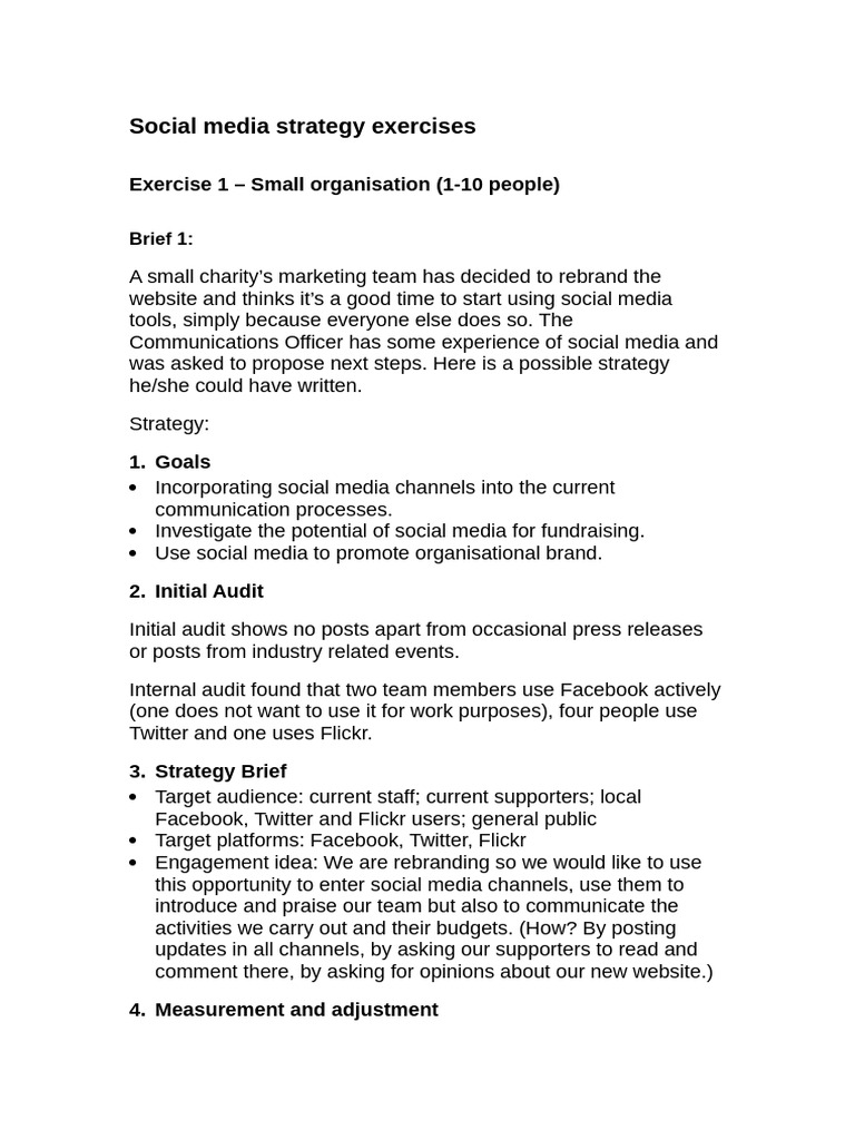 Social Media Strategy Exercises | PDF