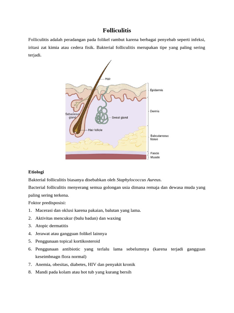 Bakterial Folliculitis | PDF