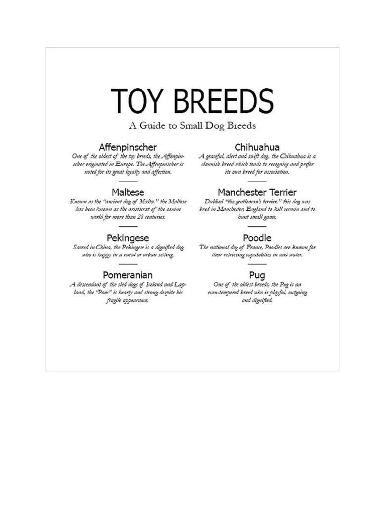Toy Breeds | PDF