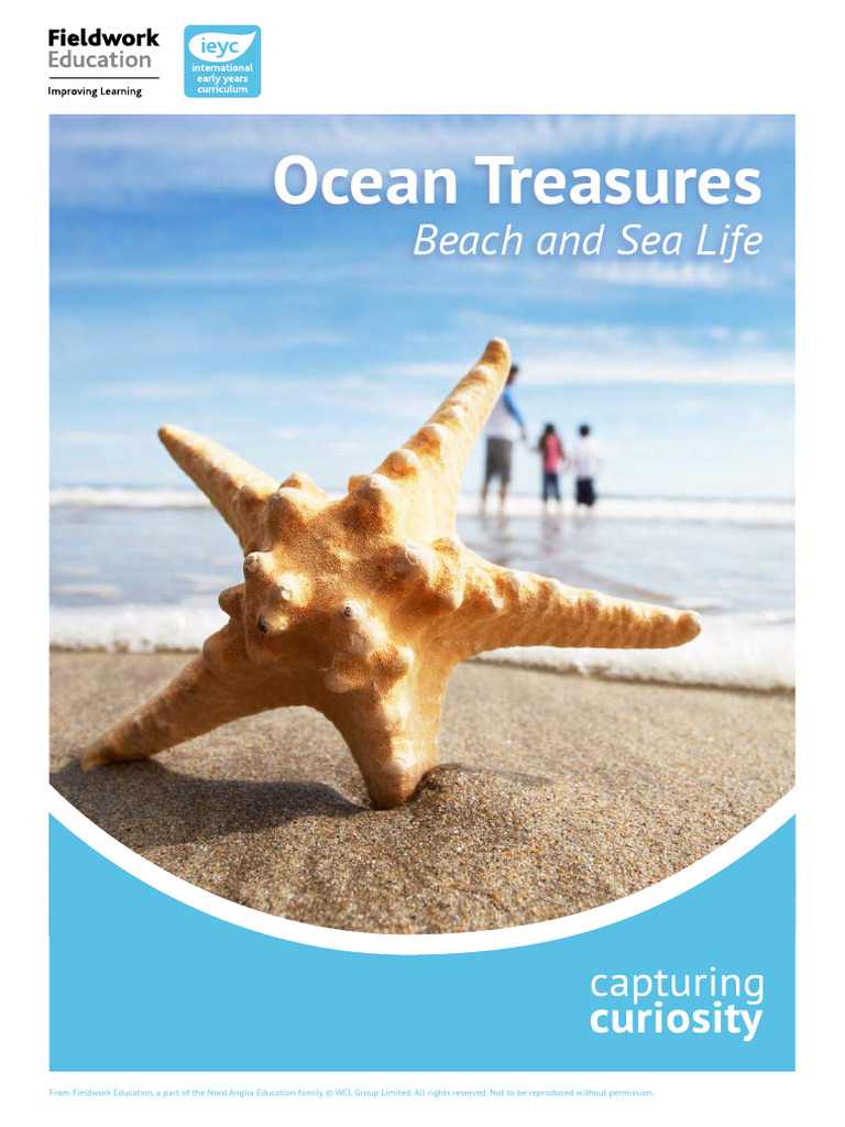 7.Ocean Treasures Beach and Sea Life IEYC v3 | PDF