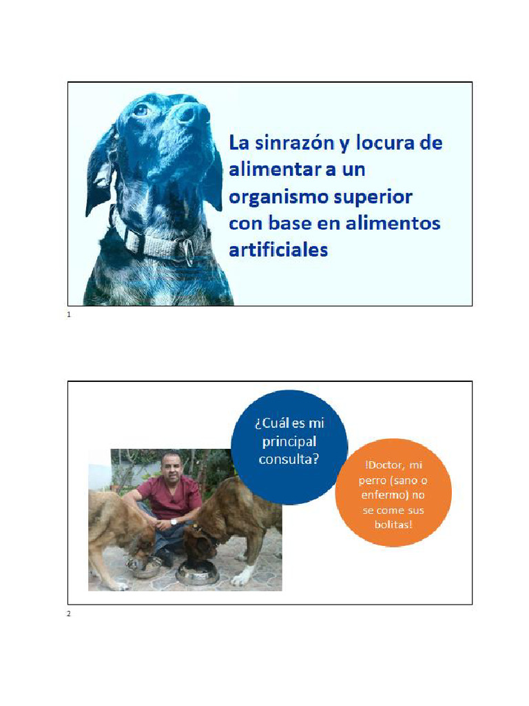 PPT7 Argumentos y Bolitas | PDF