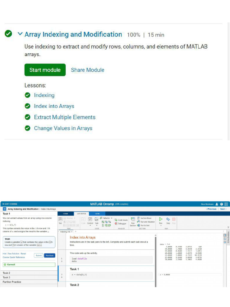 Array Indexing and Modificatio | PDF
