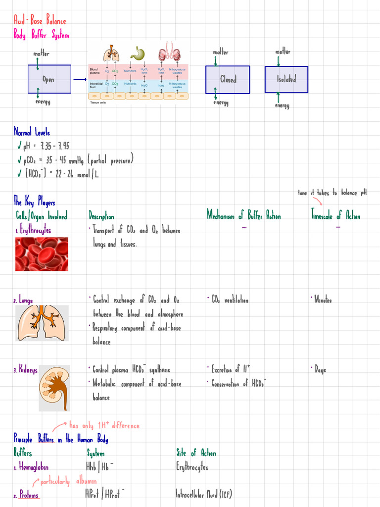 Biochemical Basis of Diseases | PDF | Hemoglobin | Red Blood Cell
