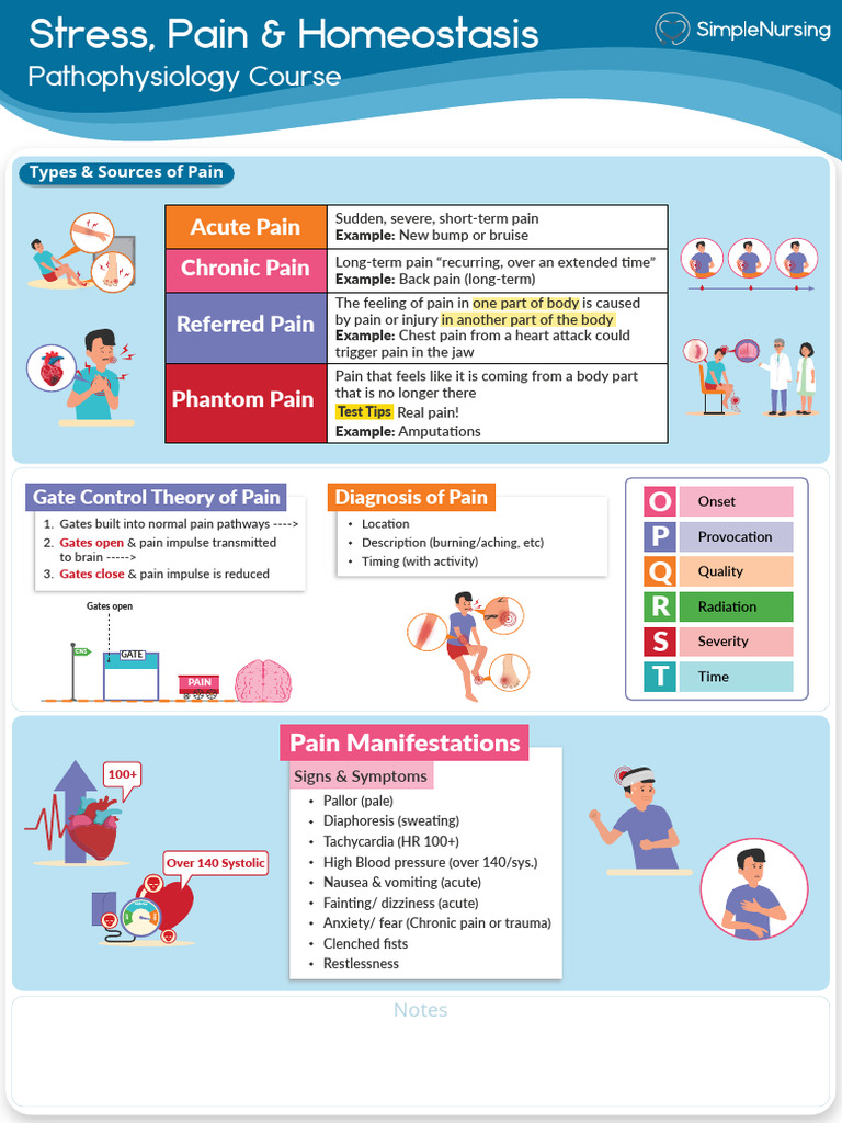 Stress, Pain & Homeostasis | PDF | Pain | Anxiety