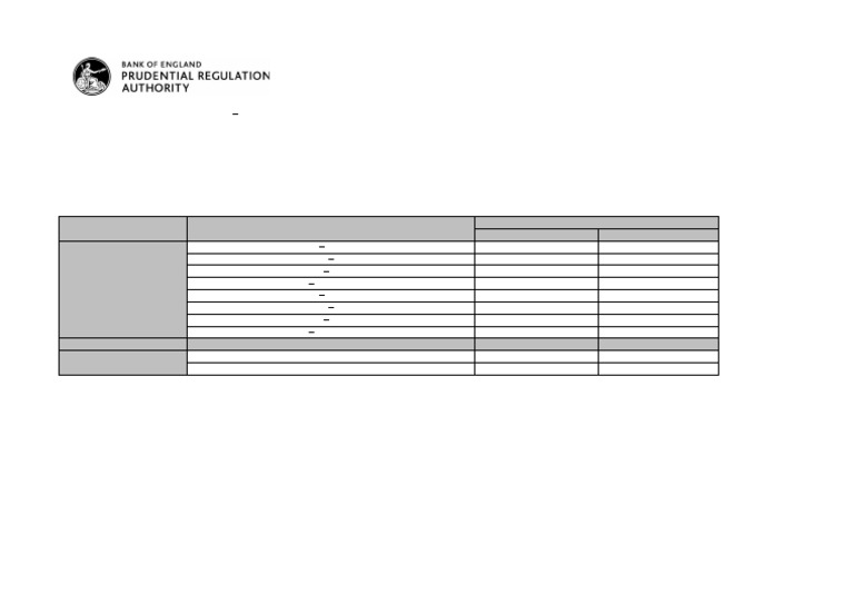 Solvency II Reporting Schedule 31 December Year End | PDF