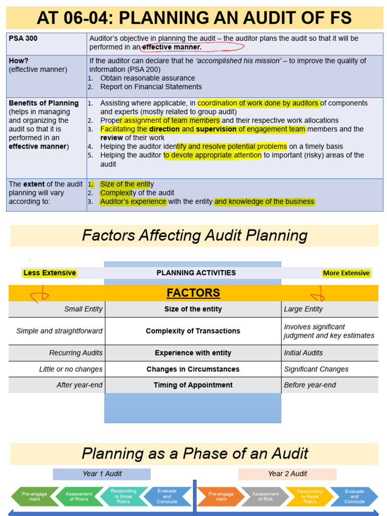 AT Audit Planning | PDF