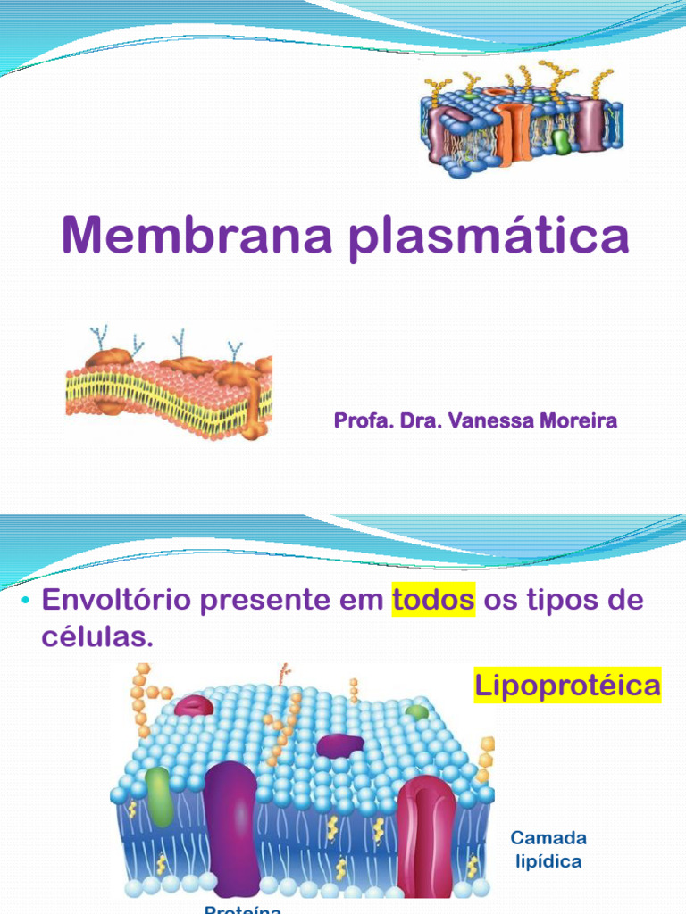 Aula 2 - Membrana Plasmática | PDF