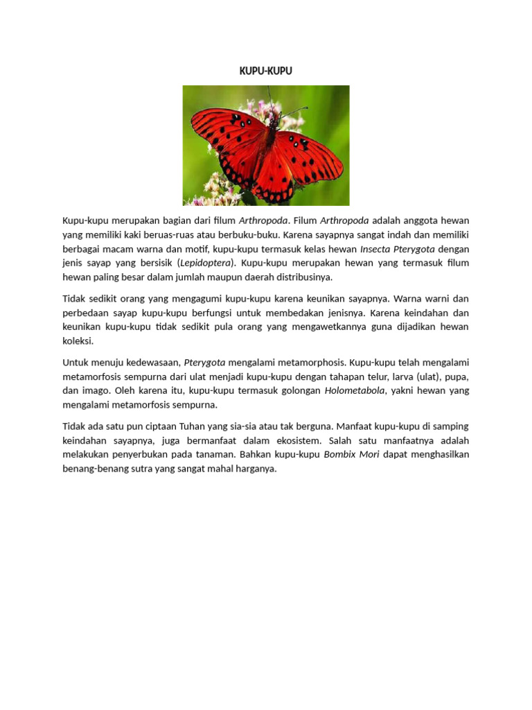 Kupu Kupu | PDF
