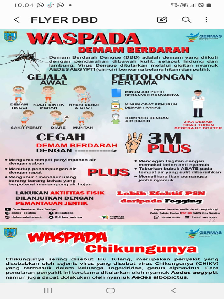 Demam Berdarah 1 | PDF