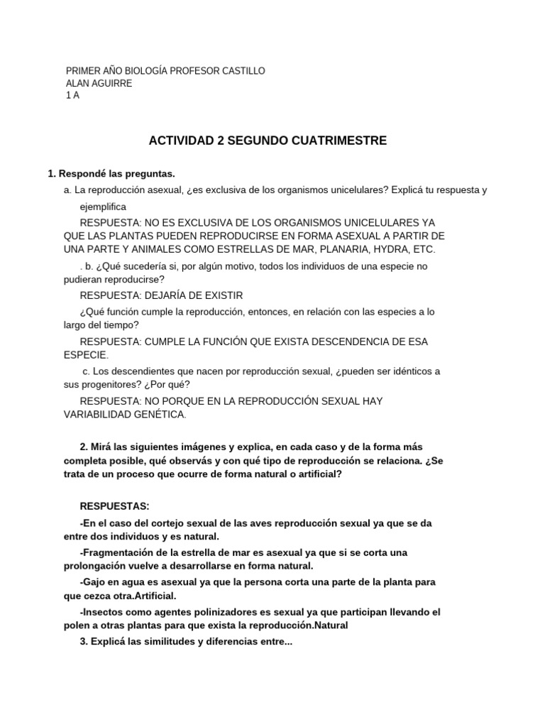 Actividad 2 Segundo Cuatrimestre Imm | PDF