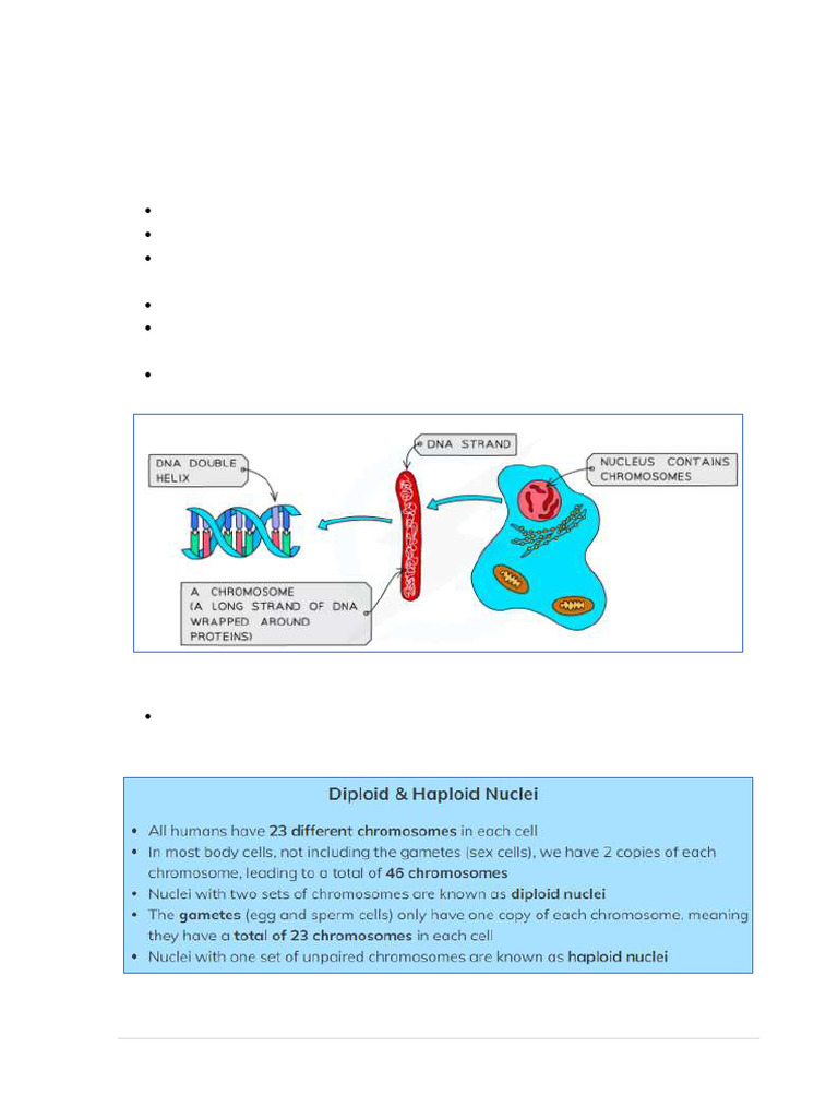 Chapter 17 Notes Inheritance Pdf