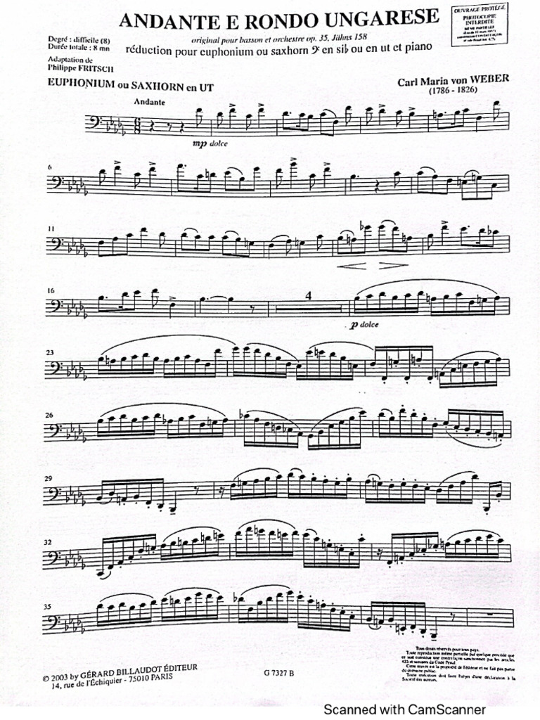 Andante Et Rondo Ungarese | PDF