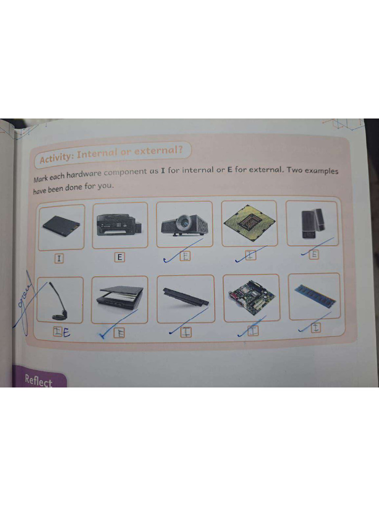 Textbook activities | PDF