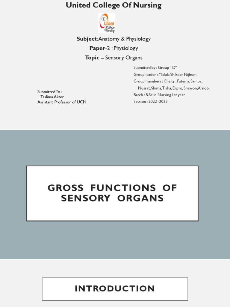 Presentation Sensory Organs | PDF