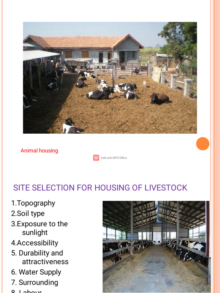 Animal Housing | PDF