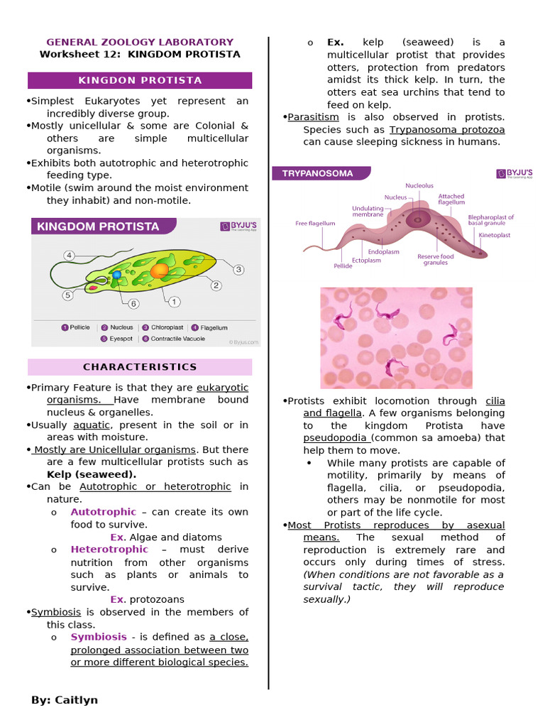 Zoolab Reviewer Worksheet 12 | PDF