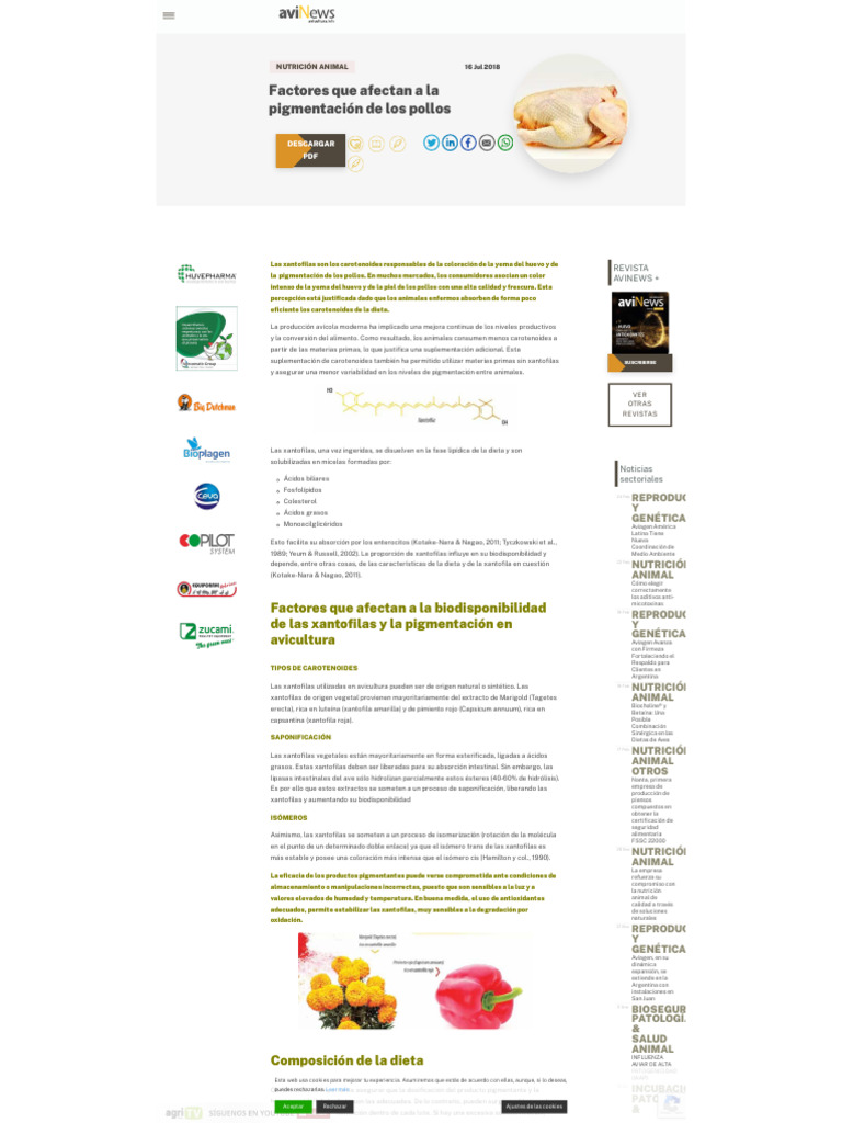 Factores que afectan a la pigmentación de los pollos | PDF
