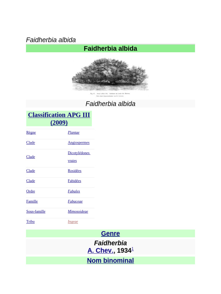 Faidherbia Albida | PDF
