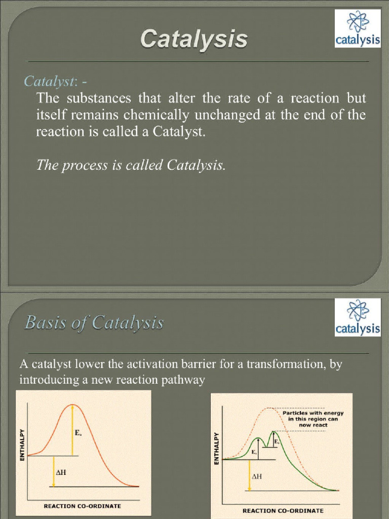 3-Catalysis and Types | PDF