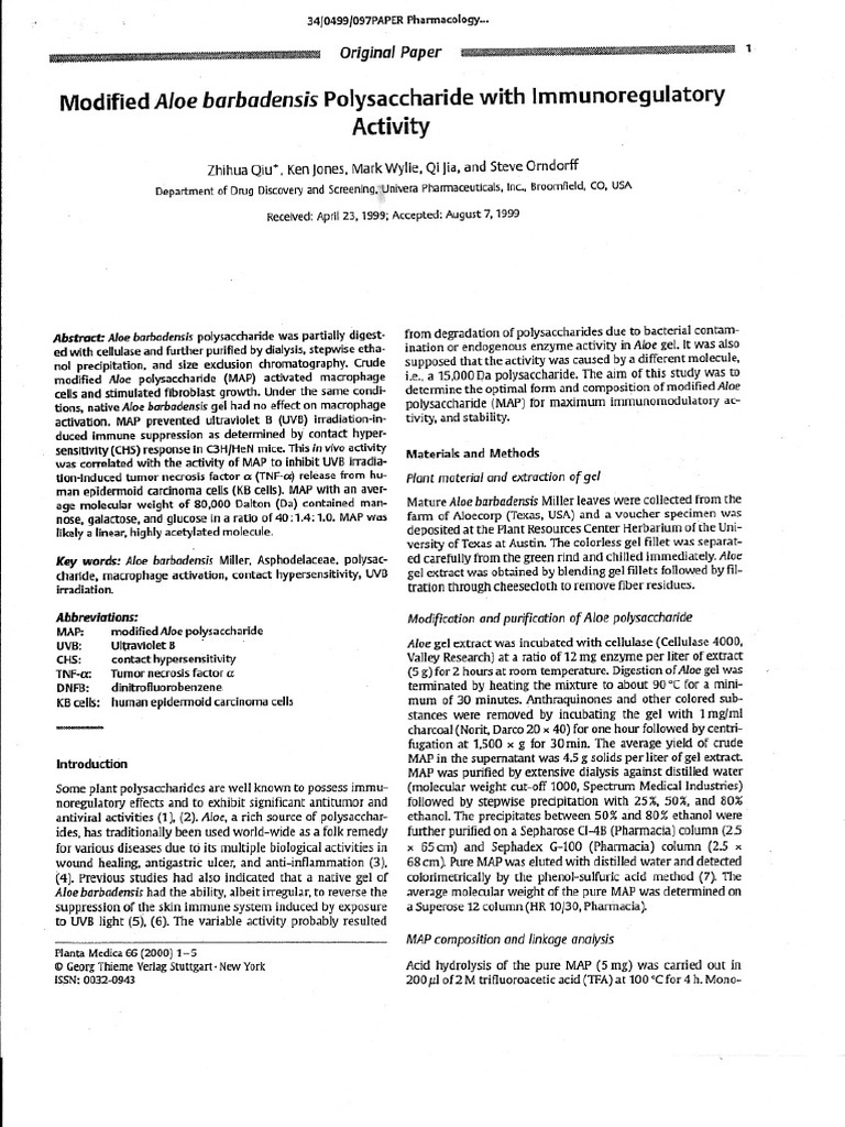 MAP Paper 1999 | PDF