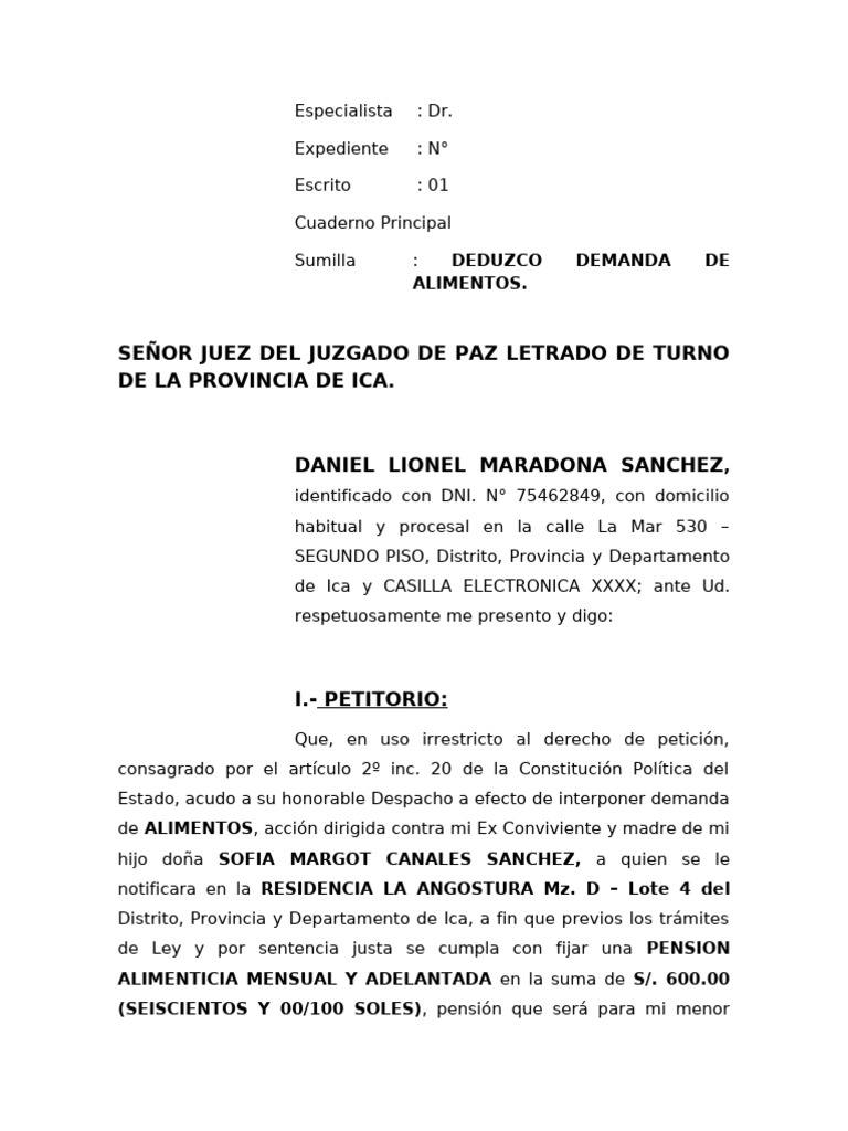 Demanda - Procesal Civil | PDF