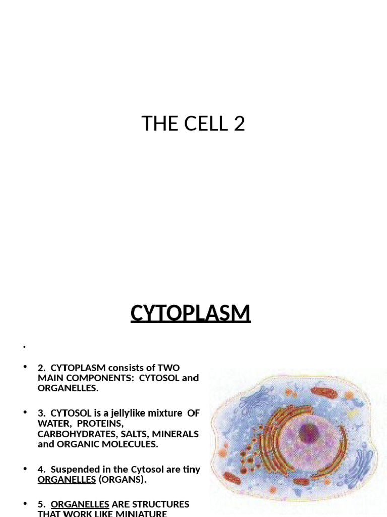 The Cell 2 | PDF