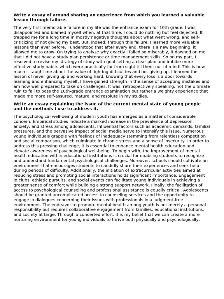 Essay | PDF