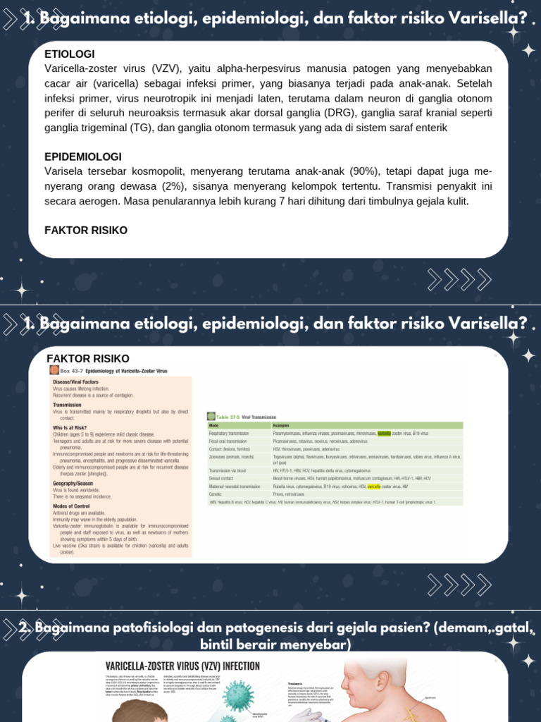 Logbook Varicella | PDF