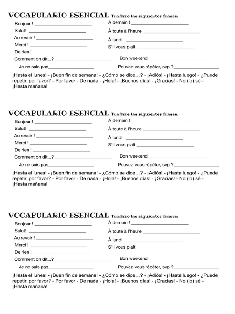 Vocabulario Esencial | PDF