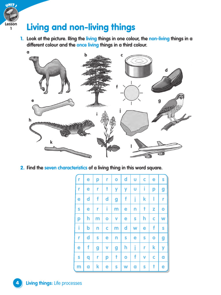 Macmillan Science Level 4 Workbook Unit 1 PP 4 8 | PDF