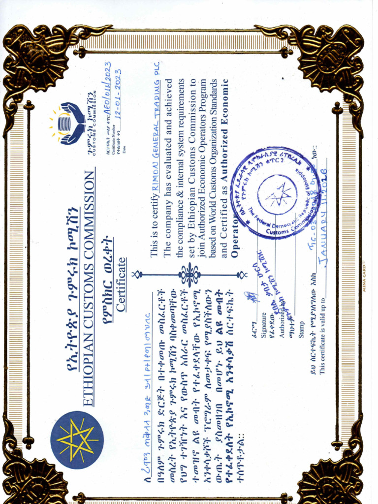 Authorized Economic Operator 2 | PDF