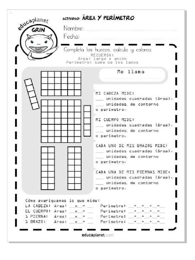 Actividades Area de Rectángulos y Cuadrados | PDF