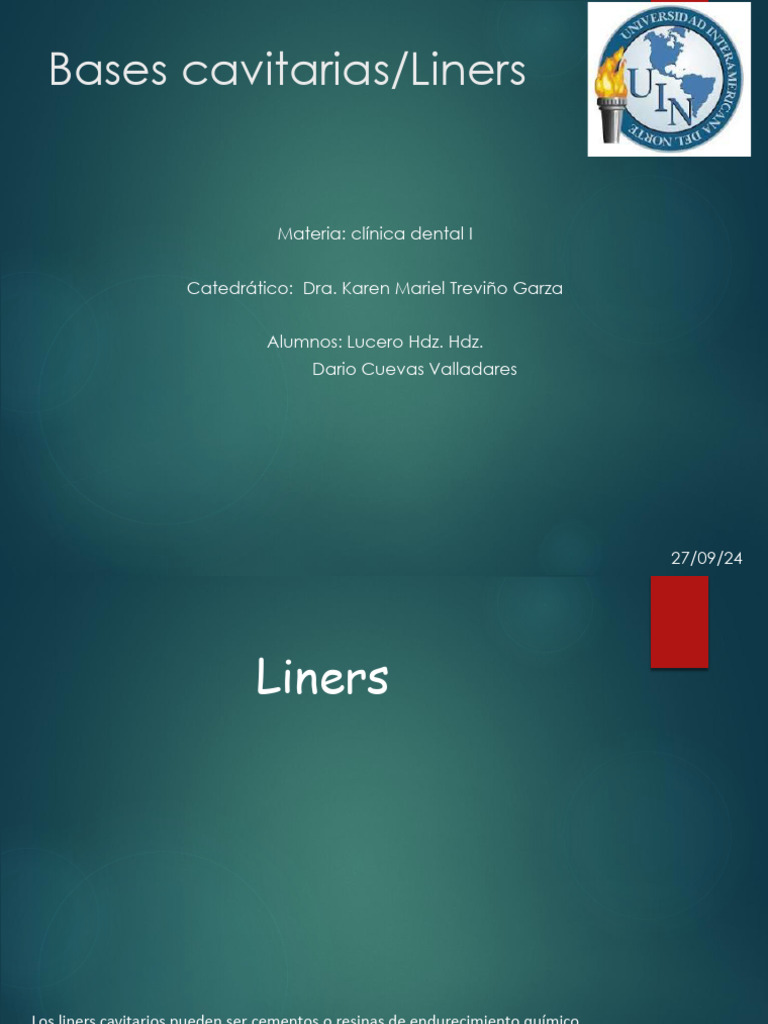 Liners PDF | PDF