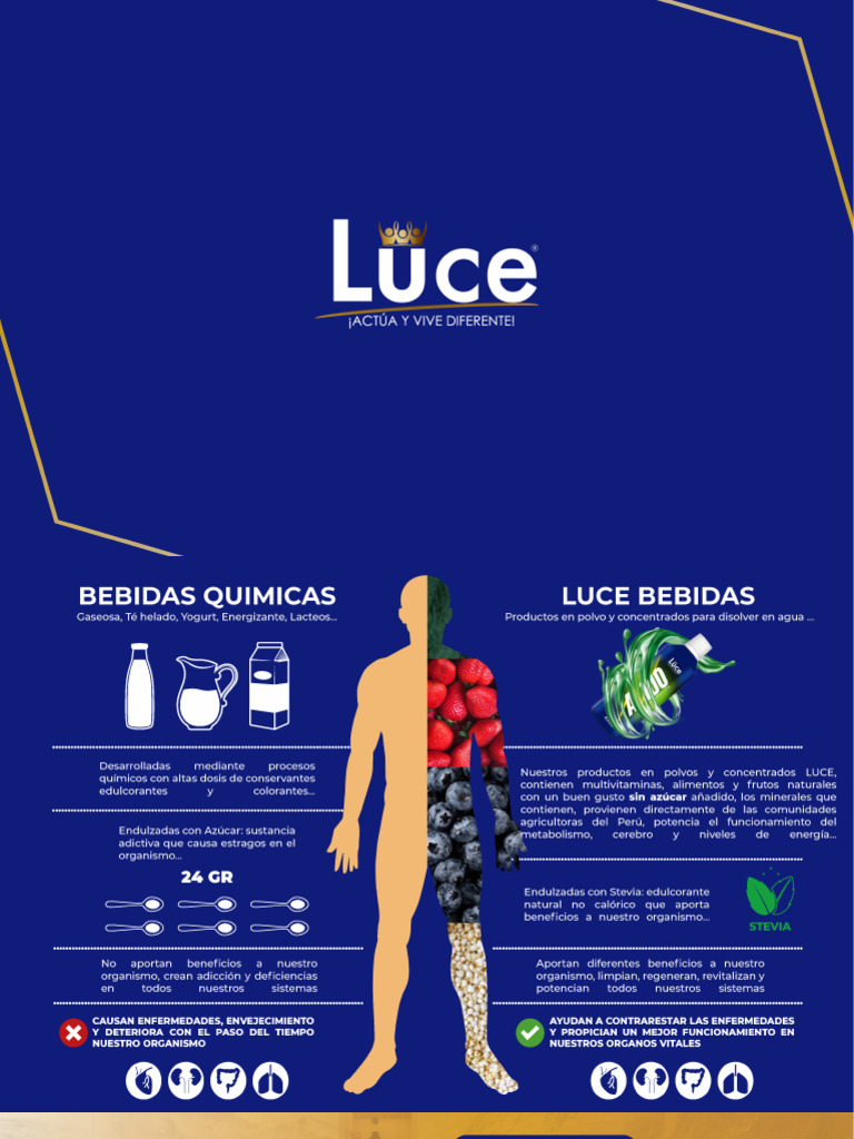 CATÁLOGO LUCE 2024 - AGOSTO | PDF