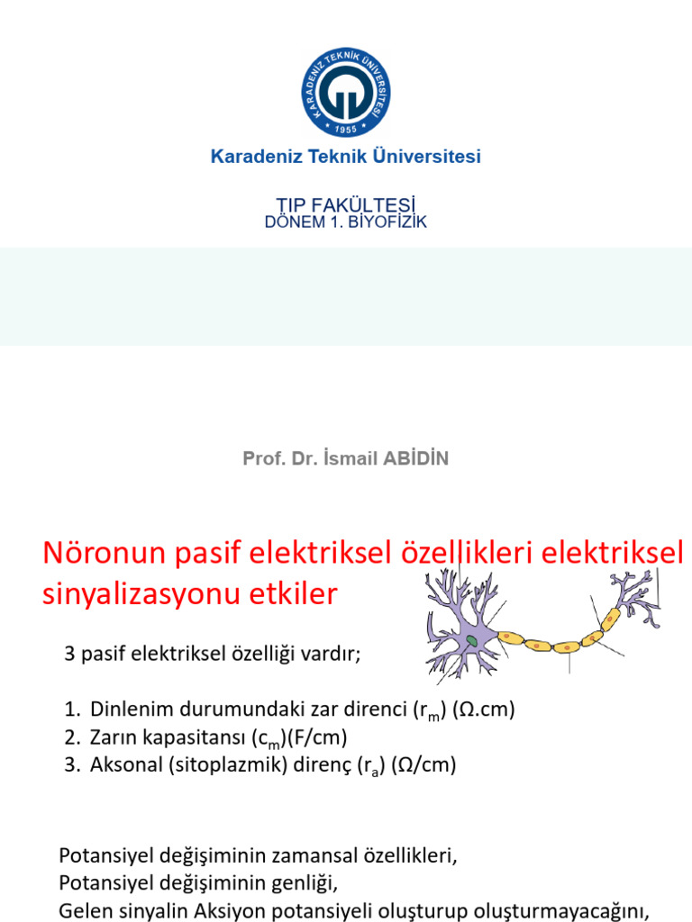 Ders 5. Pasif Membran Modeli | PDF
