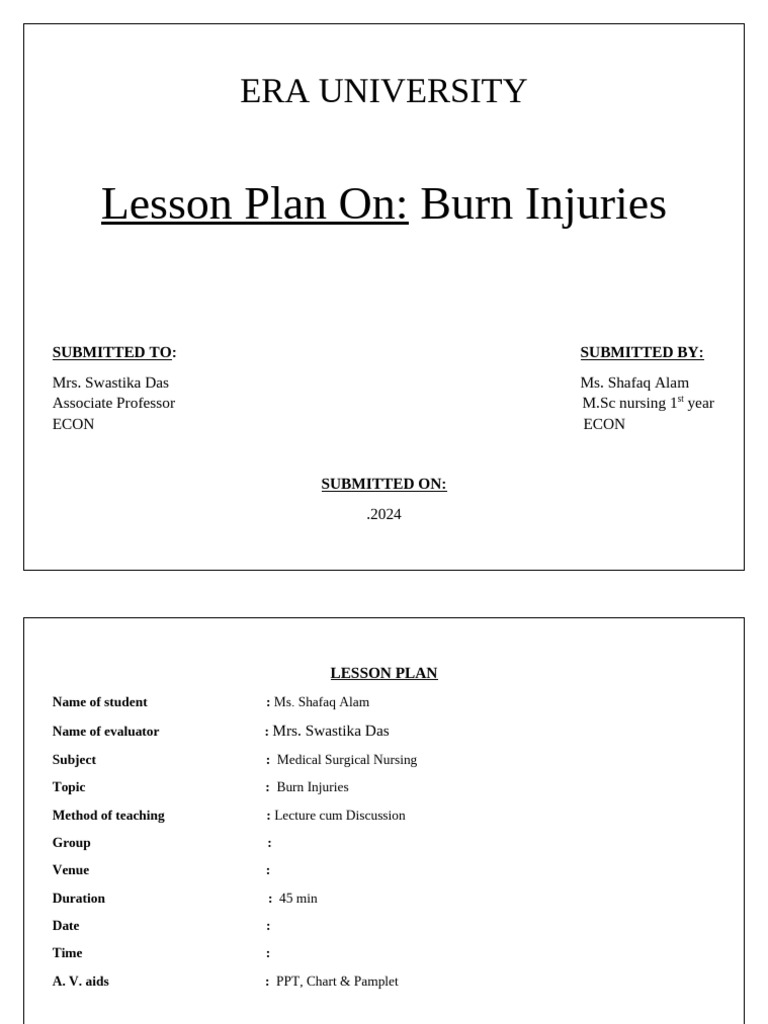 Lesson Plan - Burns | PDF