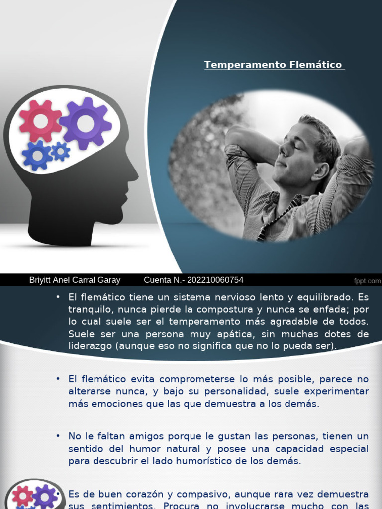 Flematico Exposicion | PDF