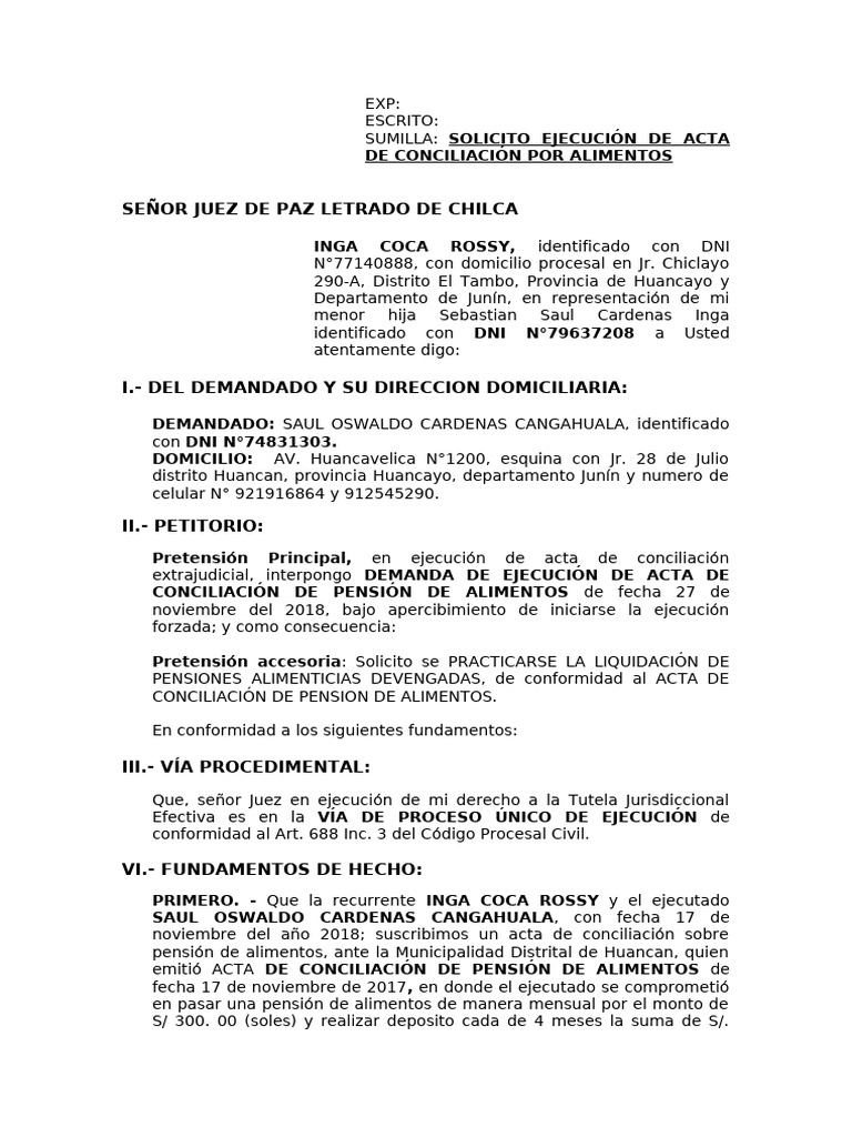 Demanda Ejecucion Rossy Inga | PDF