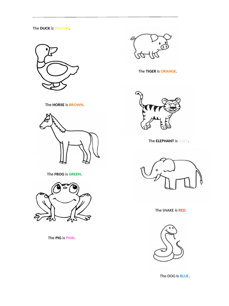 animals and colours | PDF