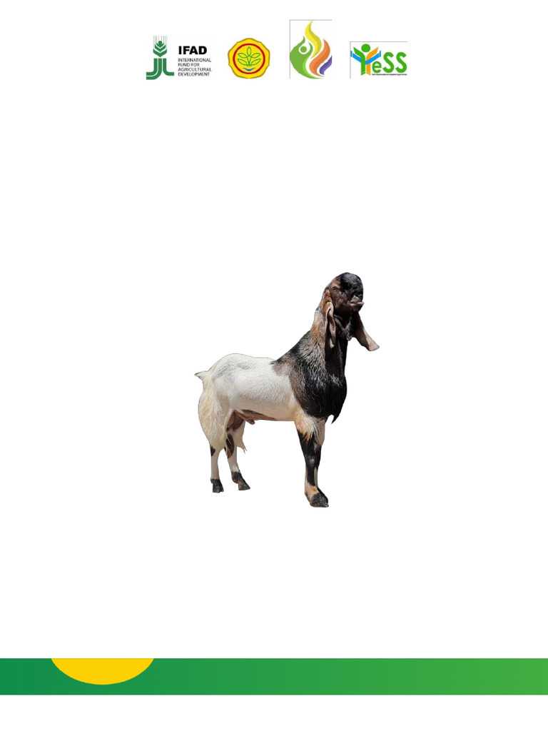 Business Plan Hibah (Andik Setyo W) | PDF