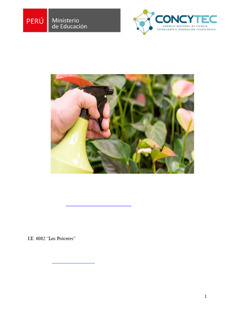 Informe Pesticida ECO | PDF