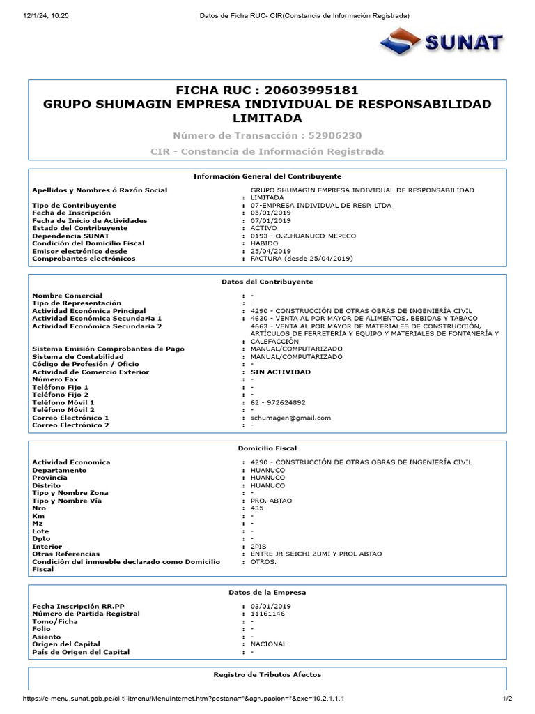 Ficha Ruc G.S. | PDF
