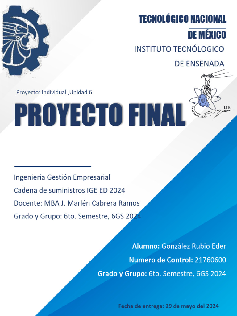 Proyecto Final | PDF | Business | Computers
