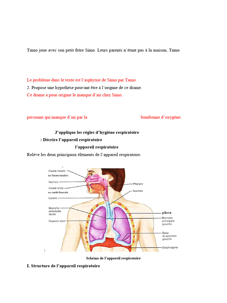 2nde C MODULE II | PDF
