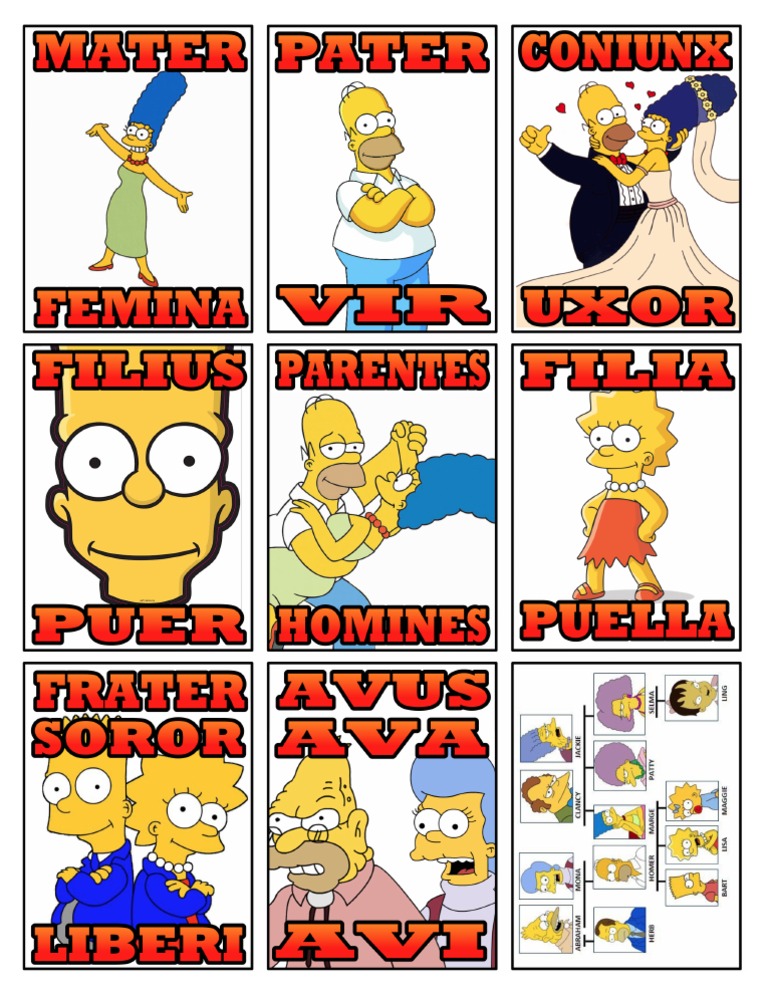 Latin Family Terms | PDF